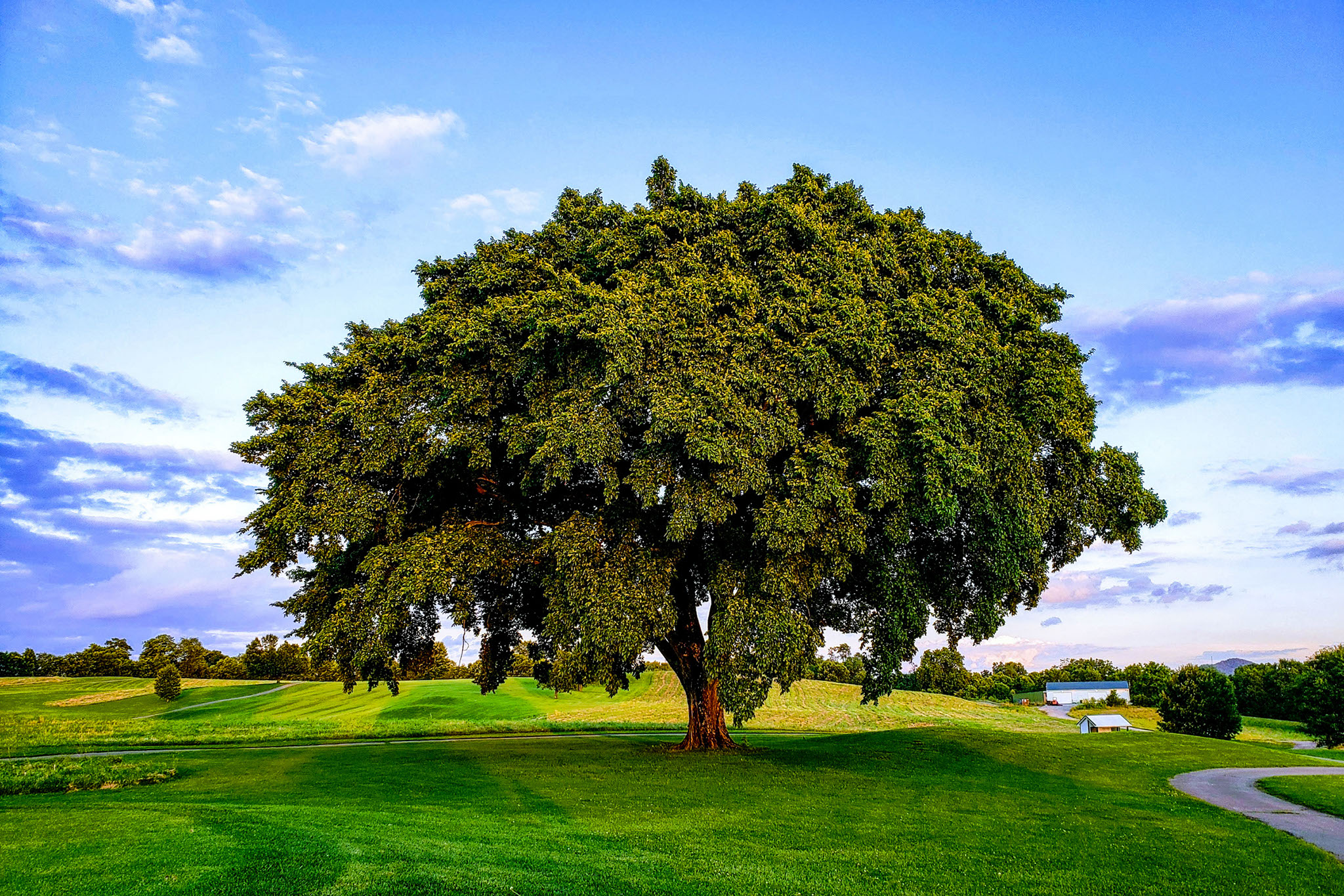 Sustainability | Medeco Locks and Keys | Medeco Security Locks